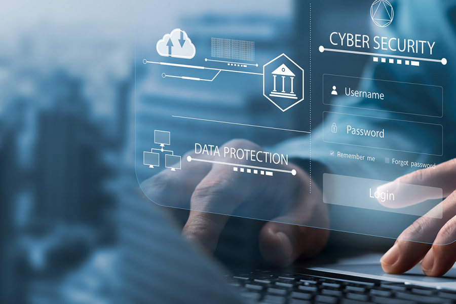 Why is Datahub's Data Protection Services Different | DataHub Consulting